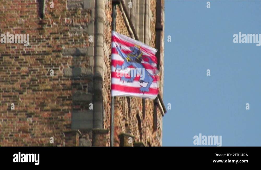 Heraldry heraldic flag Stock Videos & Footage - HD and 4K Video Clips ...