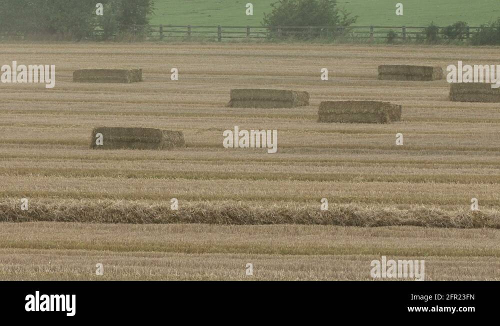 Baling wheat straw Stock Videos & Footage - HD and 4K Video Clips - Alamy