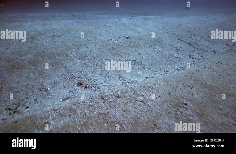 Ocean ridges Stock Videos & Footage - HD and 4K Video Clips - Alamy