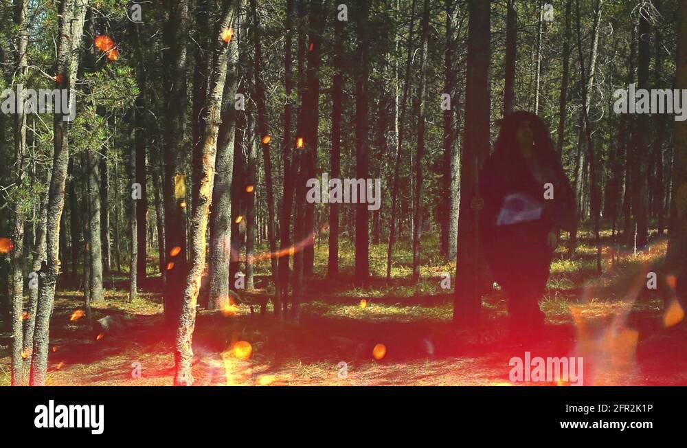 Fire caveman Stock Videos & Footage - HD and 4K Video Clips - Alamy