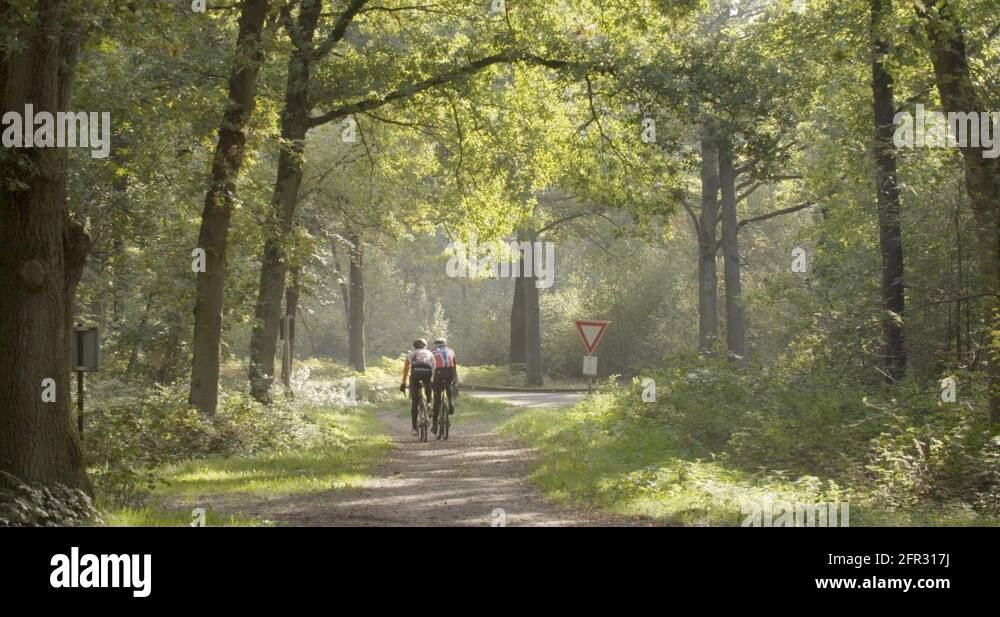 Dutch sportsmen Stock Videos & Footage - HD and 4K Video Clips - Alamy