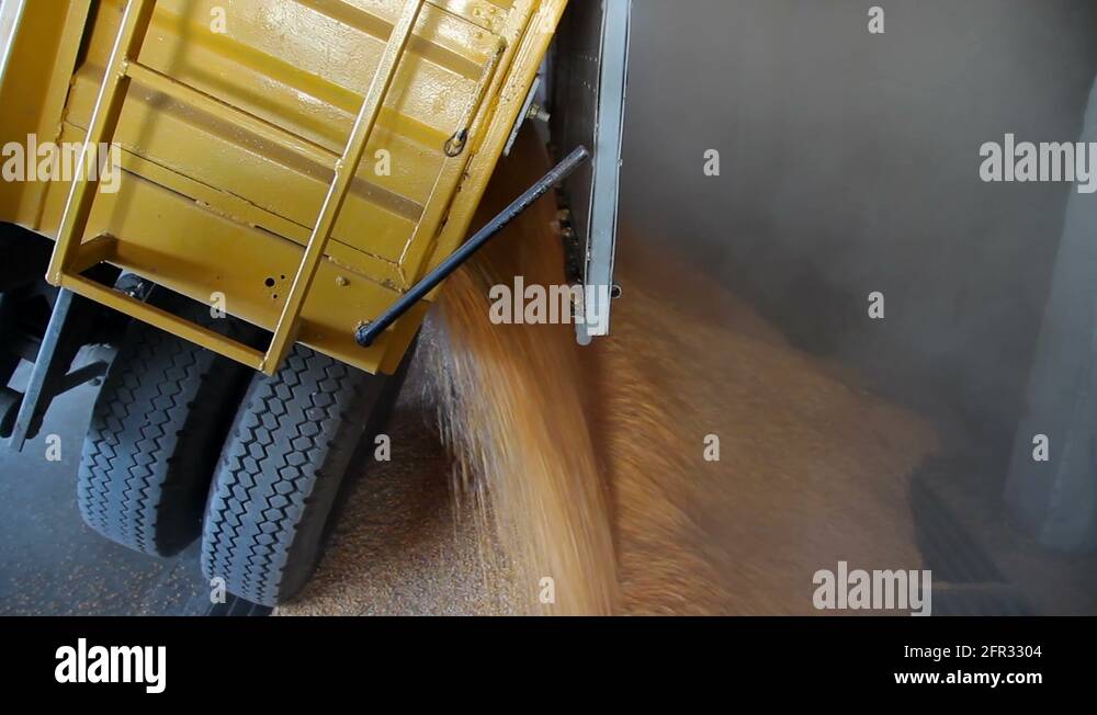 Trailer unloading Stock Videos & Footage - HD and 4K Video Clips - Alamy