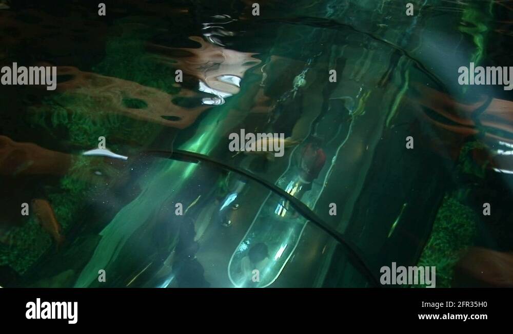 Tunnel tank Stock Videos & Footage - HD and 4K Video Clips - Alamy