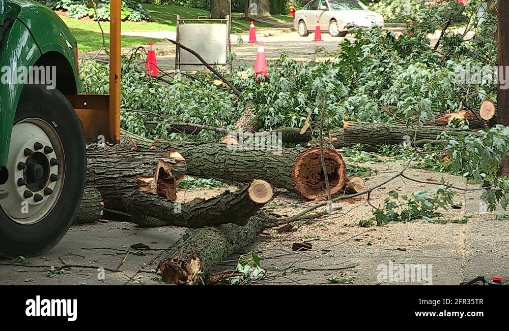 Severe thunderstorm damage with car crushed by tree Stock Video Footage ...
