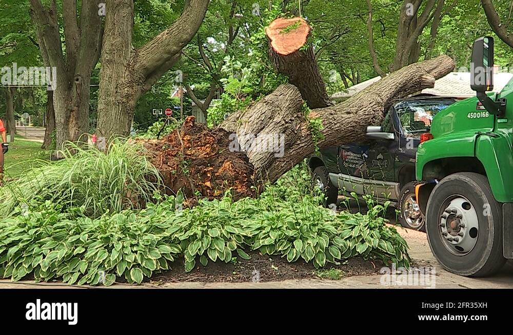 Severe thunderstorm damage with car crushed by tree Stock Video Footage ...