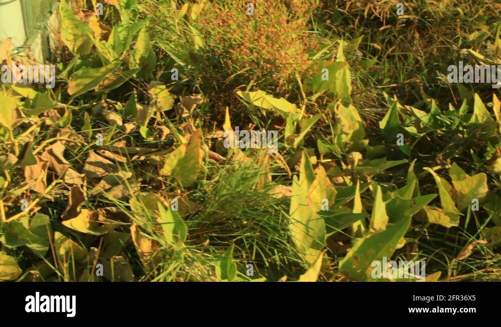 Water tank farm Stock Videos & Footage - HD and 4K Video Clips - Alamy