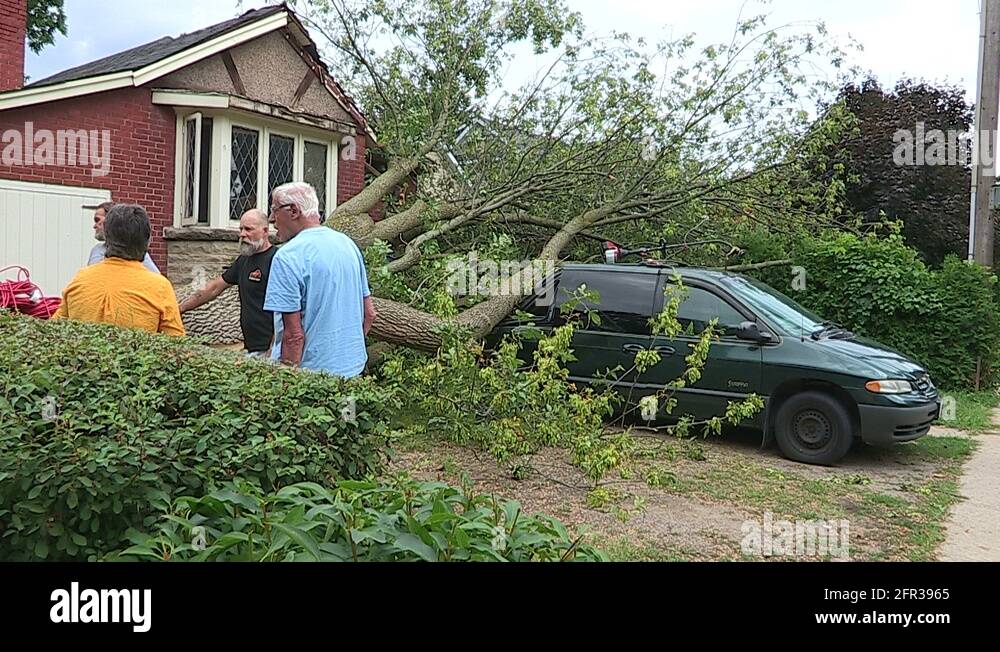 Severe thunderstorm damage with car crushed by tree Stock Video Footage ...