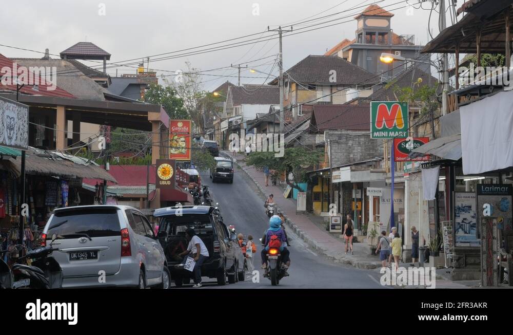 Ubud monkey forest road Stock Videos & Footage - HD and 4K Video Clips ...