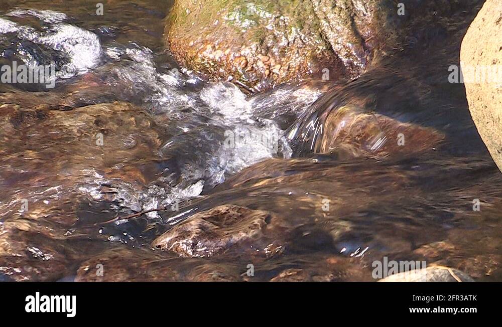 Drought conditions water shortage Stock Videos & Footage - HD and 4K ...