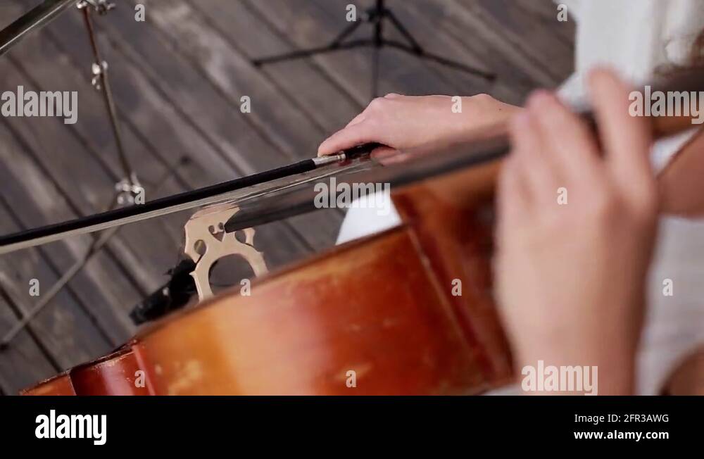 Indian classical music notation Stock Videos & Footage - HD and 4K ...