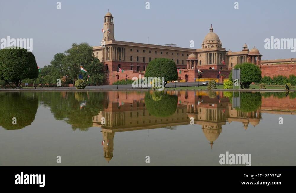 Delhi birds Stock Videos & Footage - HD and 4K Video Clips - Alamy
