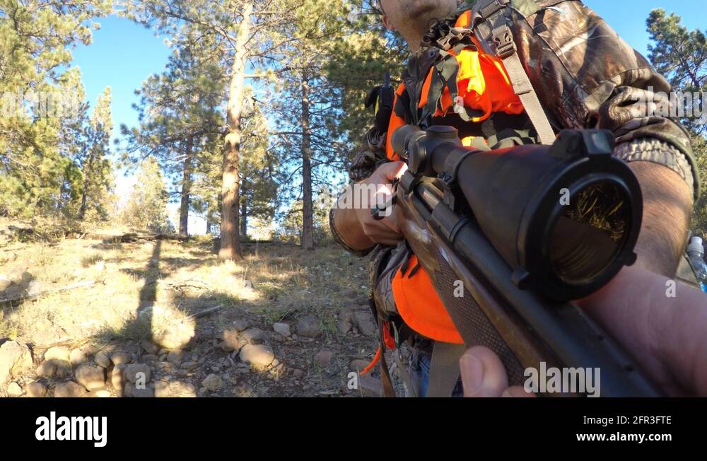 Rifle scope hunter Stock Videos & Footage - HD and 4K Video Clips - Alamy