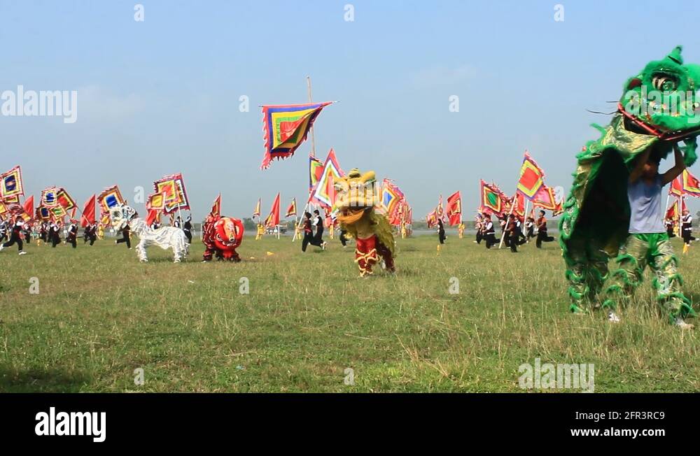 Lion dance festival Stock Videos & Footage - HD and 4K Video Clips - Alamy