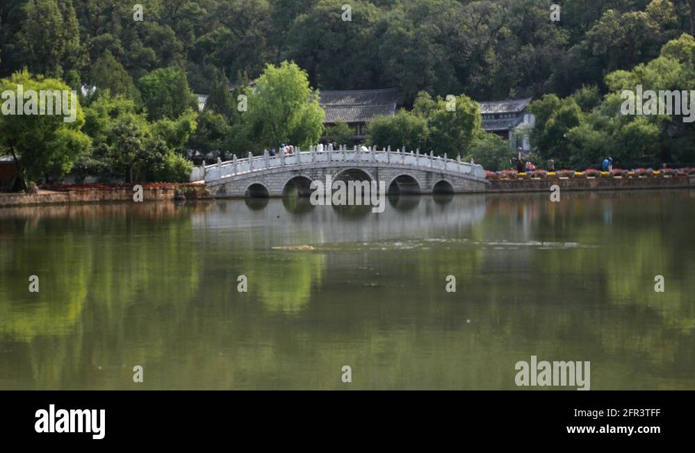 Jade spring Stock Videos & Footage - HD and 4K Video Clips - Alamy