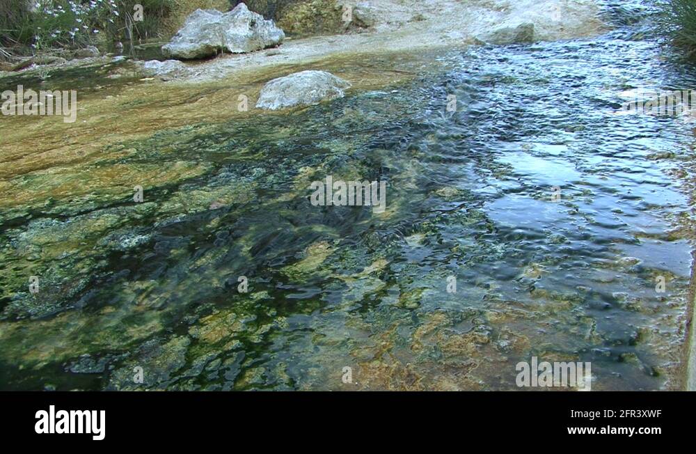 Waterfall chemical reaction extremophile life Stock Videos & Footage ...