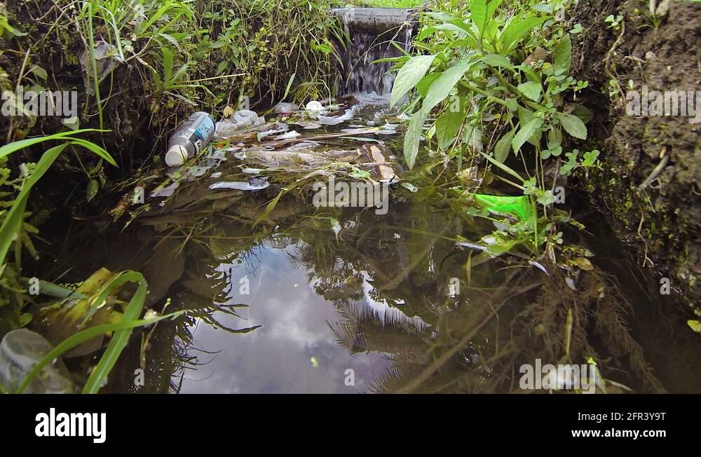 Litter canal Stock Videos & Footage - HD and 4K Video Clips - Alamy
