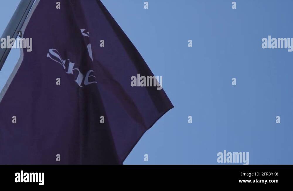 Artistic vector flag Stock Videos & Footage - HD and 4K Video Clips - Alamy