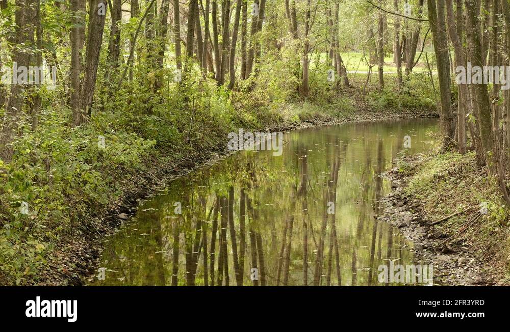Plant bend light Stock Videos & Footage - HD and 4K Video Clips - Alamy