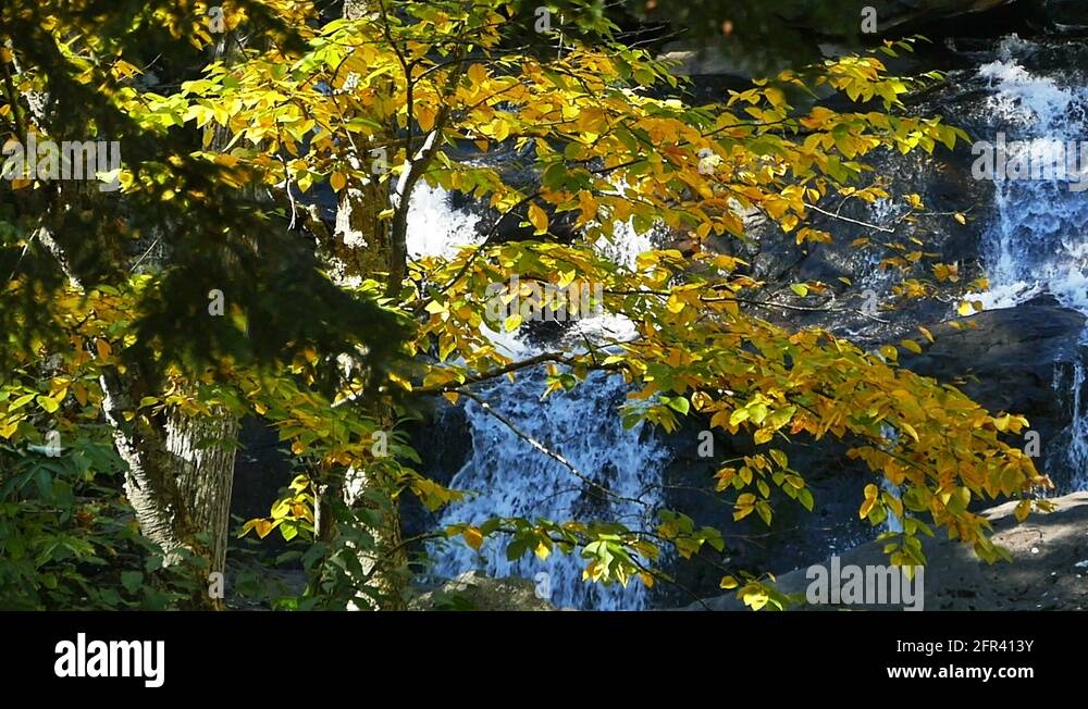 Waterfall yellow mountain Stock Videos & Footage - HD and 4K Video ...