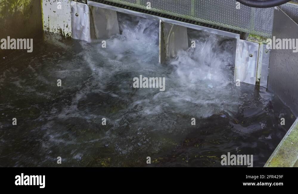 Large food hatch Stock Videos & Footage - HD and 4K Video Clips - Alamy