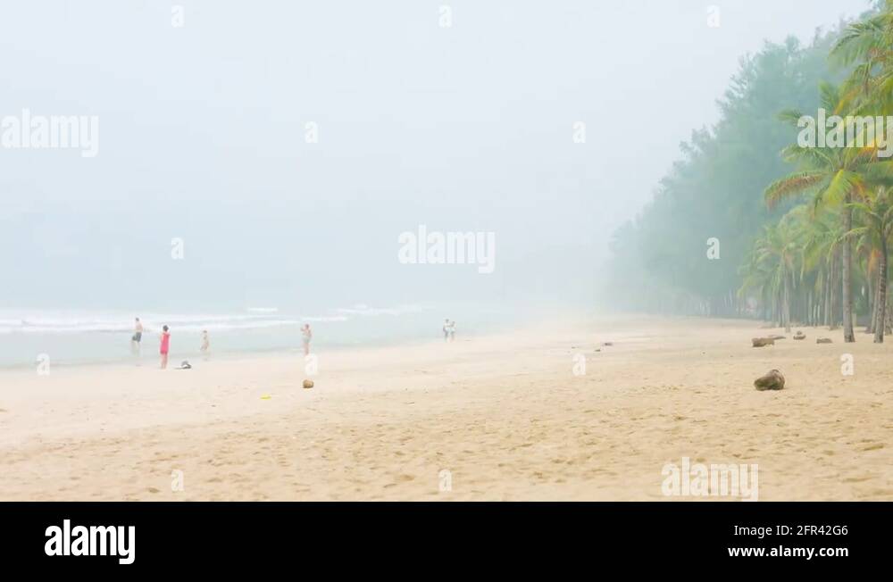 Indonesia fires Stock Videos & Footage - HD and 4K Video Clips - Alamy
