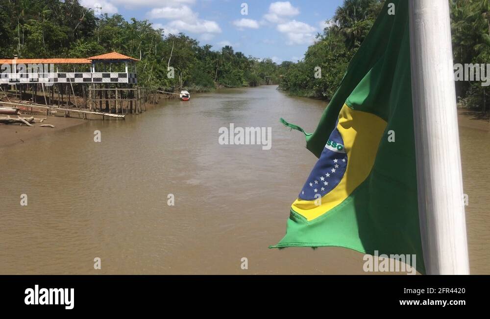 Parintins Stock Videos & Footage - HD and 4K Video Clips - Alamy