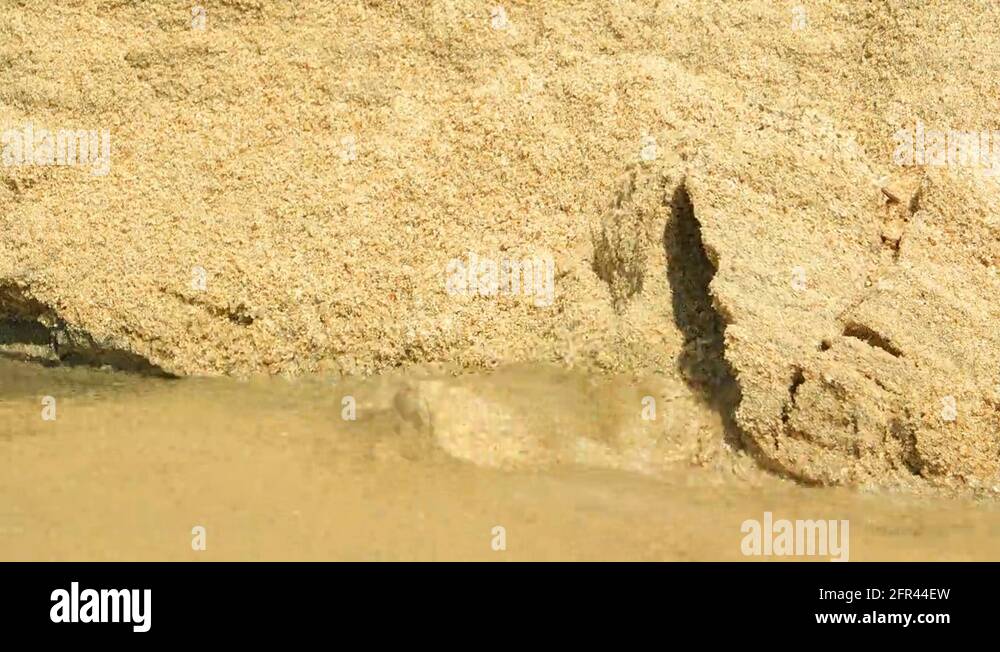 Undercutting Stock Videos & Footage - HD and 4K Video Clips - Alamy