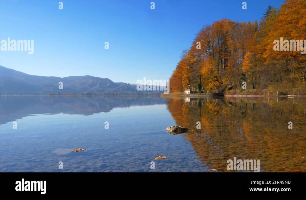 See fall foliage germany Stock Videos & Footage - HD and 4K Video Clips ...
