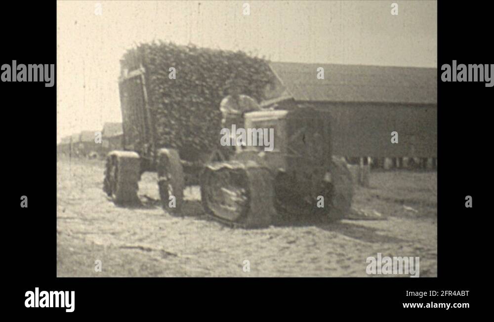 Cane tractor Stock Videos & Footage - HD and 4K Video Clips - Alamy