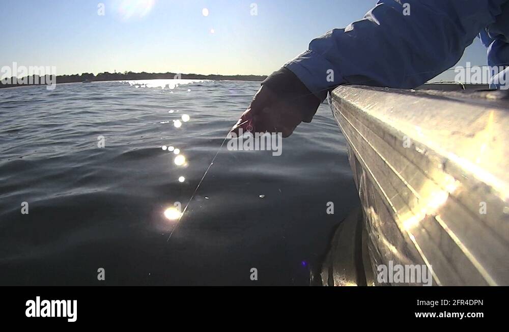 Line fishing Stock Videos & Footage - HD and 4K Video Clips - Alamy