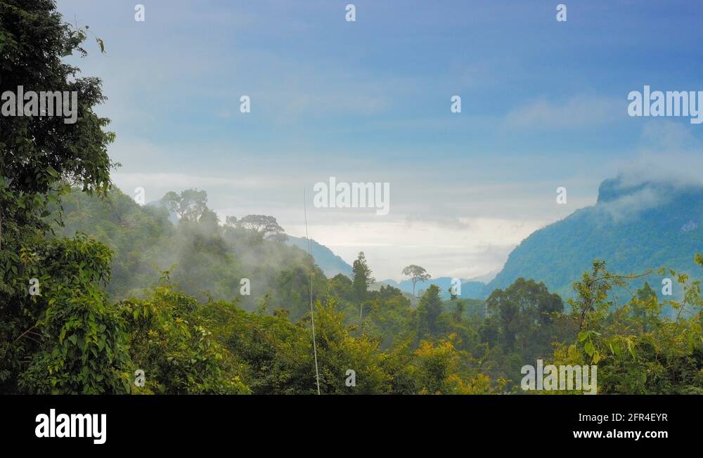 Humid background Stock Videos & Footage - HD and 4K Video Clips - Alamy