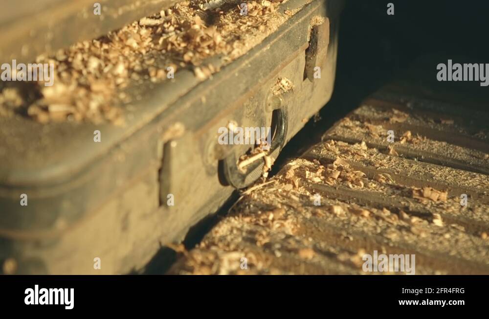 Hidden under table Stock Videos & Footage - HD and 4K Video Clips - Alamy