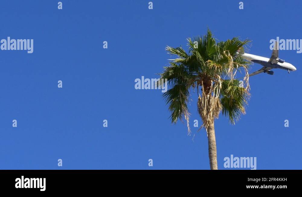 Desert airplane tree Stock Videos & Footage - HD and 4K Video Clips - Alamy