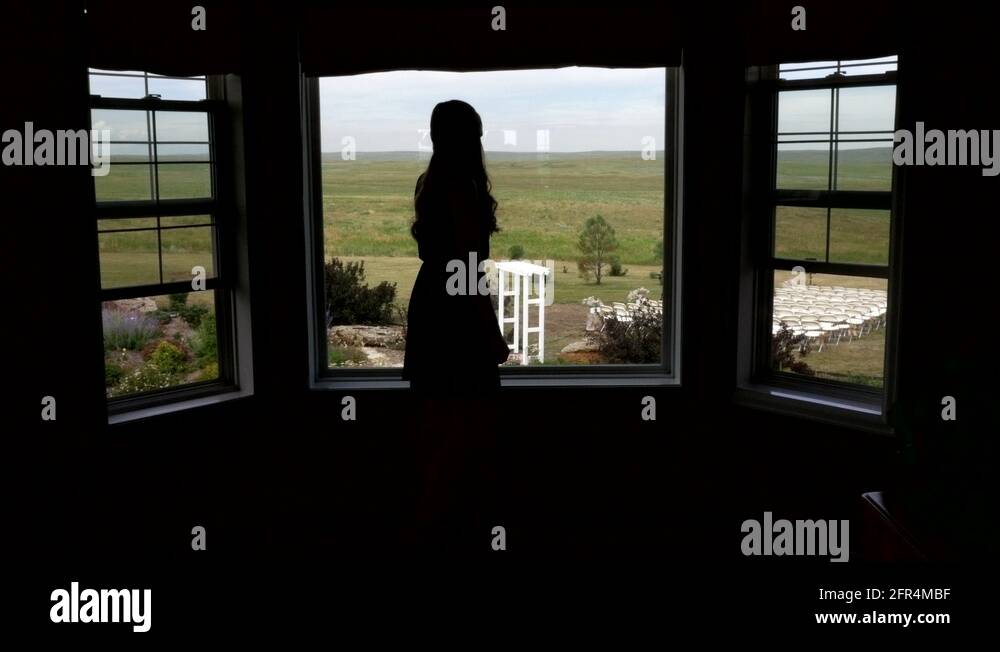 Woman looking out window silhouette Stock Videos & Footage - HD and 4K ...