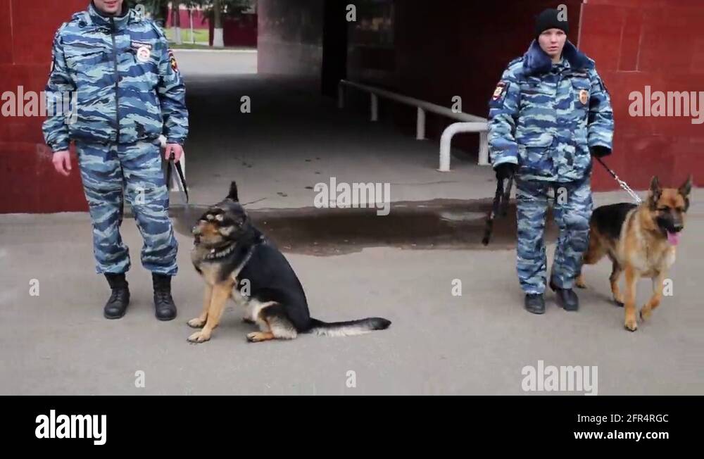Policeman policewoman patrol Stock Videos & Footage - HD and 4K Video ... Policeman policewoman patrol Stock Videos & Footage - HD and 4K Video ...