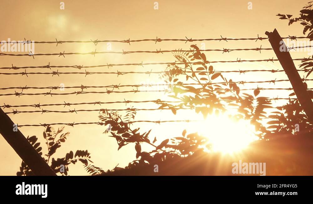 Tyranny oppression Stock Videos & Footage - HD and 4K Video Clips - Alamy