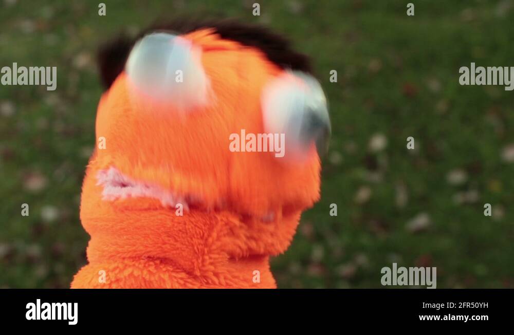 Talking puppet Stock Videos & Footage - HD and 4K Video Clips - Alamy