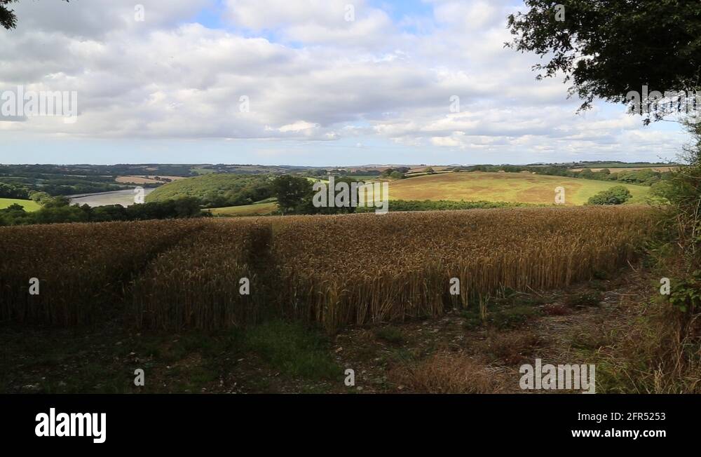 Cornwall farming Stock Videos & Footage - HD and 4K Video Clips - Alamy