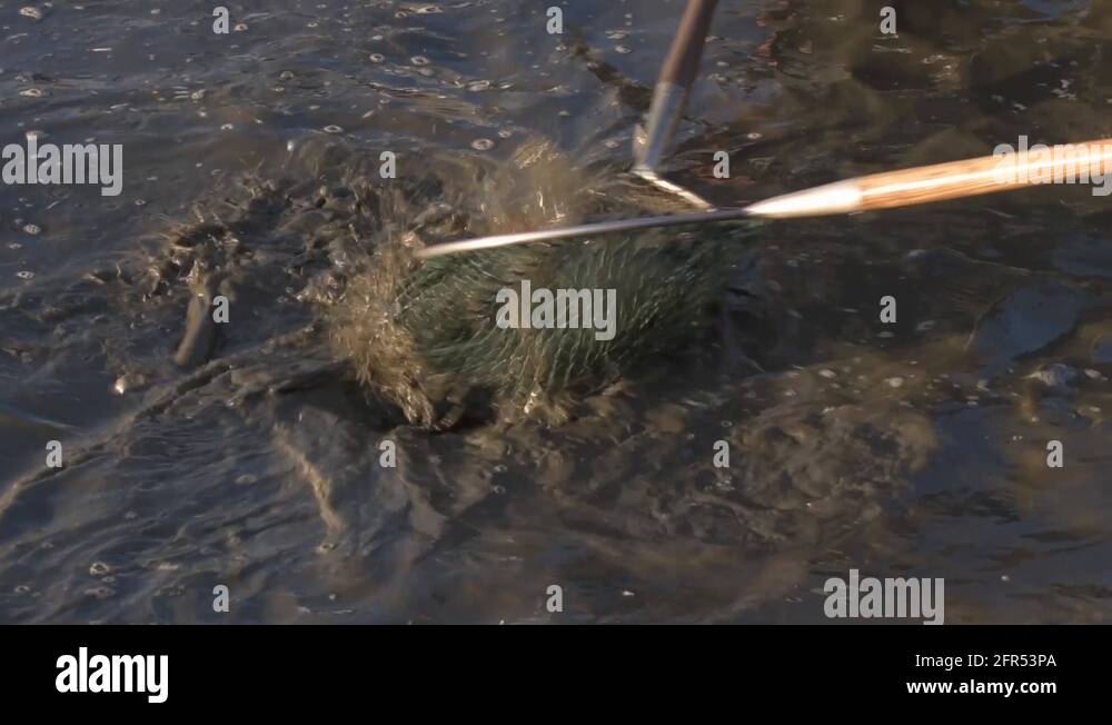 Drink polluted water Stock Videos & Footage - HD and 4K Video Clips - Alamy