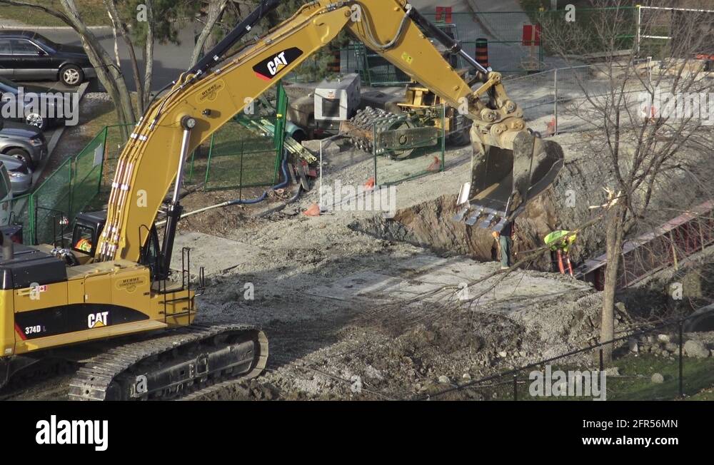 Excavator Removing a Dead Tree Stock Video Footage - Alamy