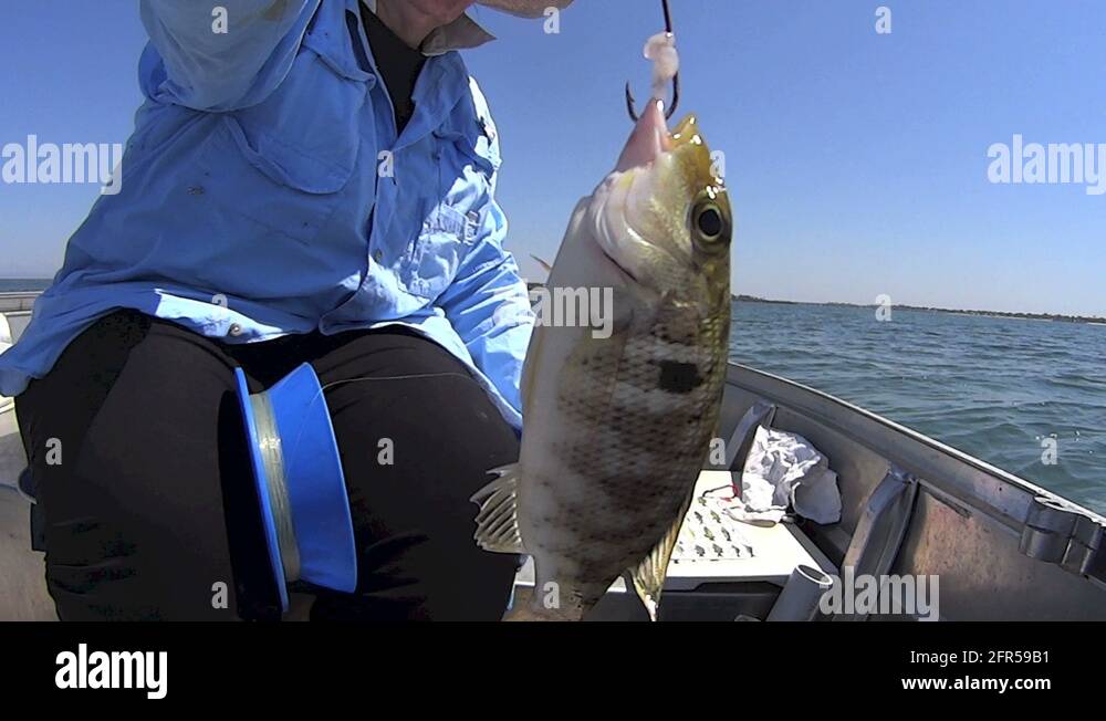 Dinghy landing Stock Videos & Footage - HD and 4K Video Clips - Alamy