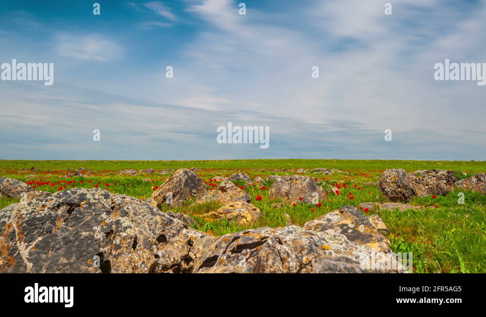 Rocky steppes Stock Videos & Footage - HD and 4K Video Clips - Alamy