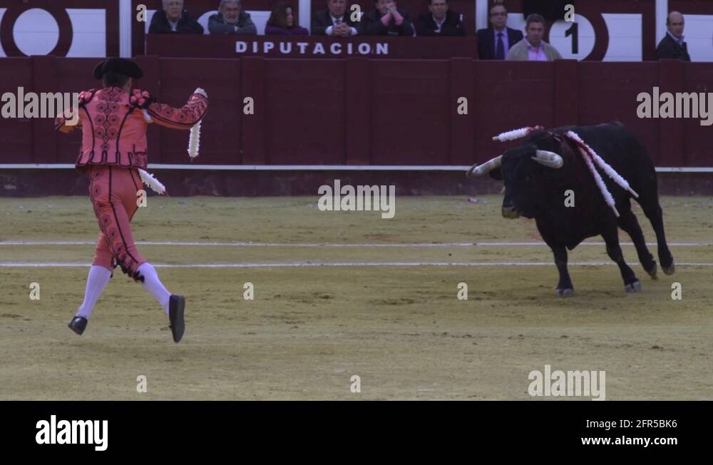Spanish bullfighting Stock Videos & Footage - HD and 4K Video Clips - Alamy