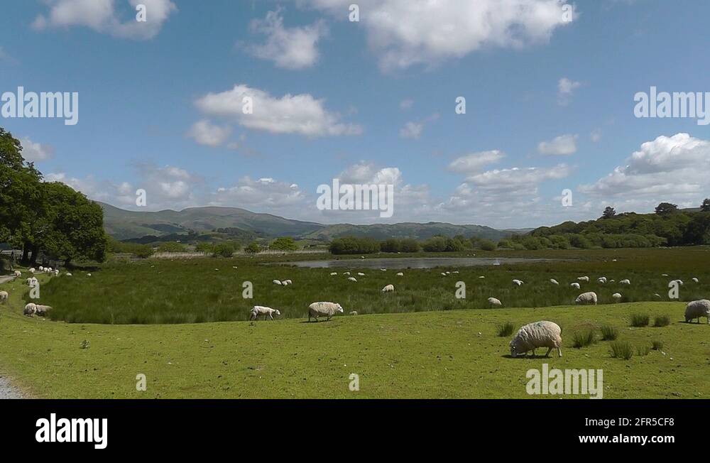 Welsh landscape hills Stock Videos & Footage - HD and 4K Video Clips ...