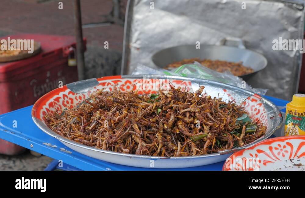 Thailand insects Stock Videos & Footage - HD and 4K Video Clips - Alamy