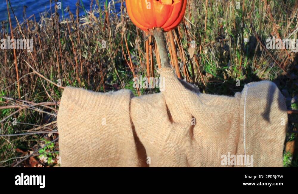 scarecrow in garden by water Stock Video Footage - Alamy