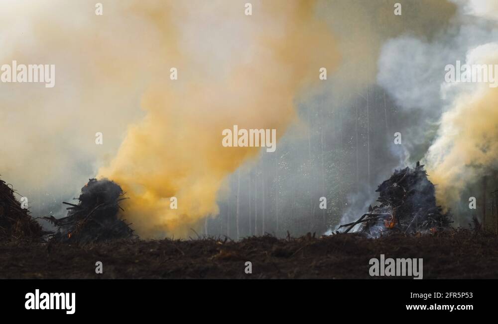 Controlled burn Stock Videos & Footage - HD and 4K Video Clips - Alamy