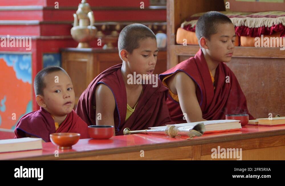 Young Tibetan buddhist monks chanting the puja ceremony in rural Nepal ...