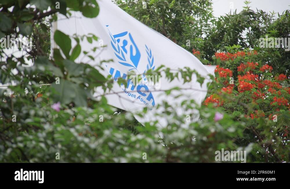 Unhcr flag Stock Videos & Footage - HD and 4K Video Clips - Alamy