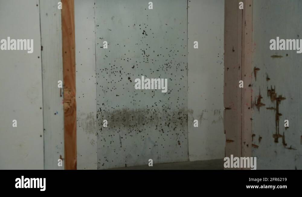 Entry block Stock Videos & Footage - HD and 4K Video Clips - Alamy